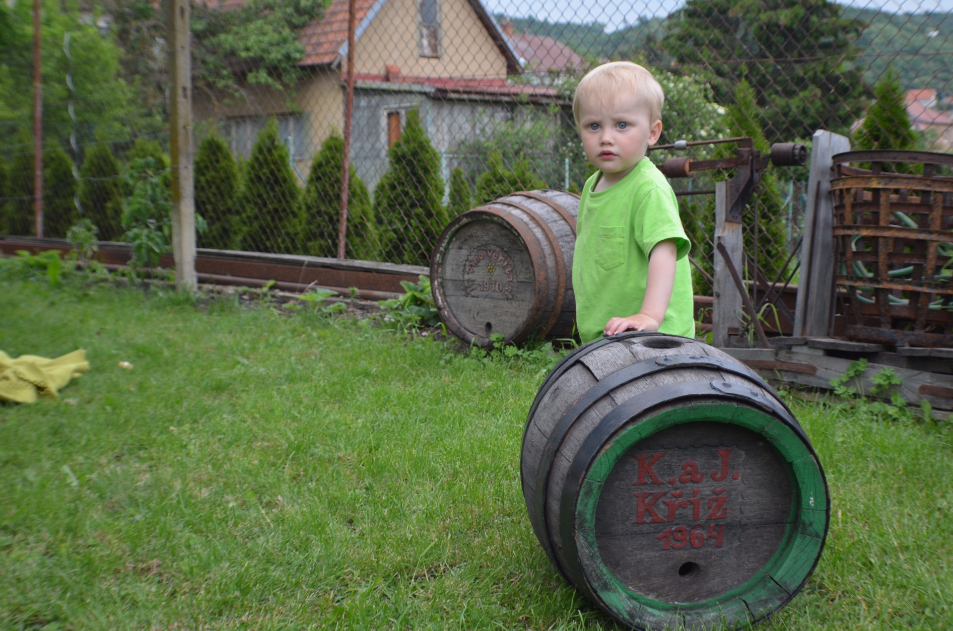 Sudová vína :: Vinařství u Křížů